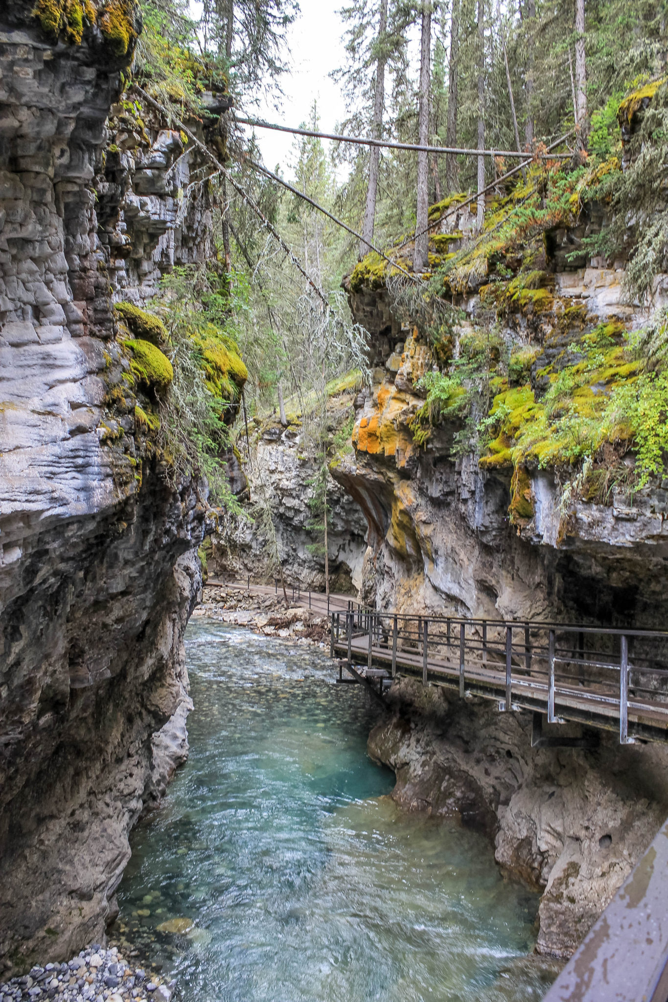 Banff's Best Easy Hike: Johnston Canyon - Curious Travel Bug